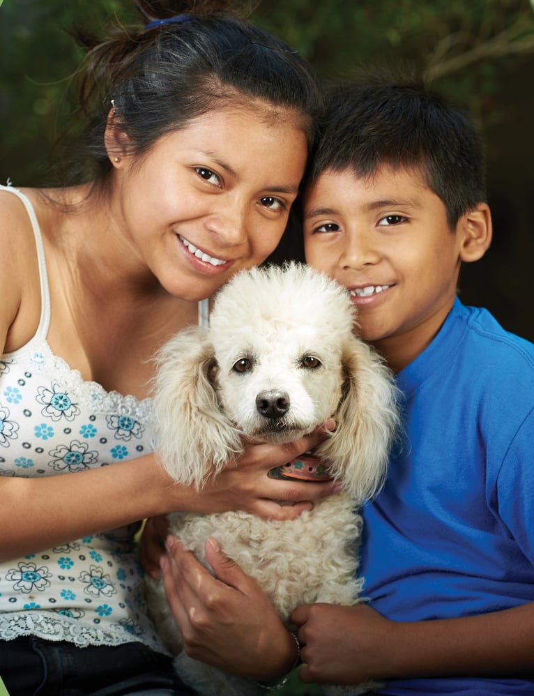 Pet Health Education Events
