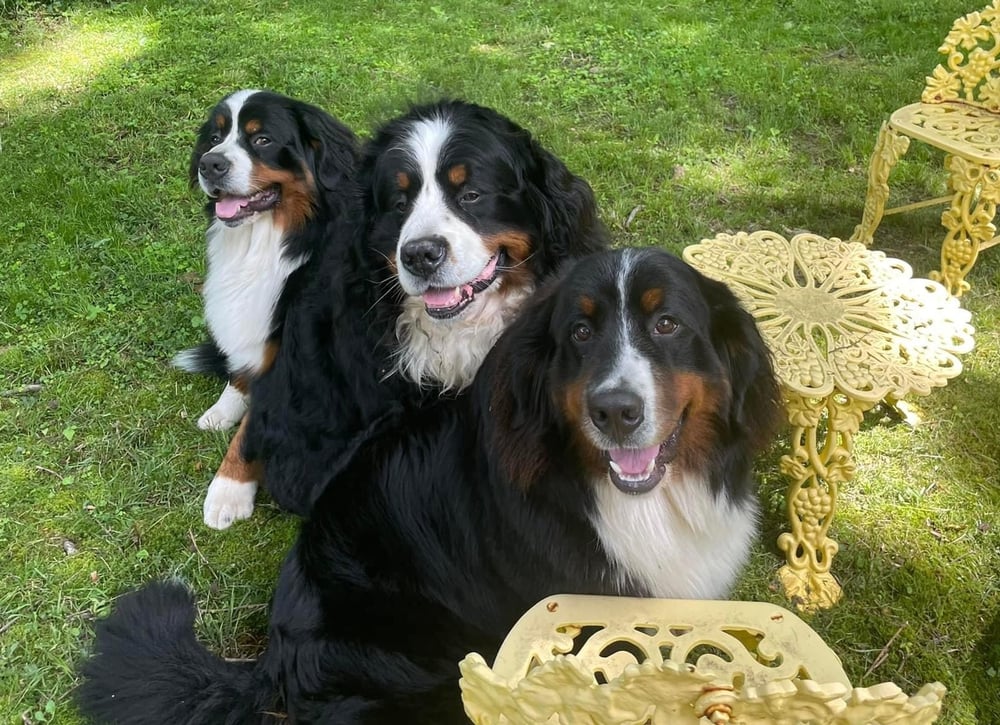 Donor Spotlight: Steve Peplin