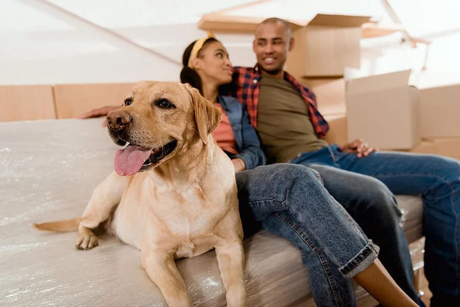 Pet Retention: Helping People Live Happily with Their Pets