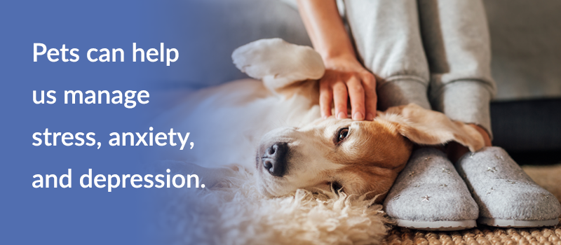 Helping People with Pets in Need in Your Community