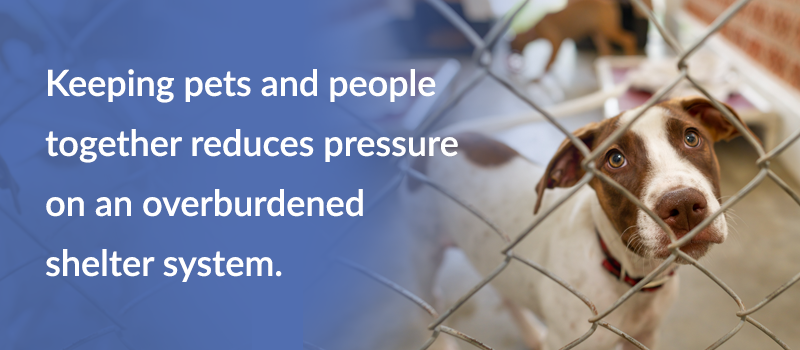 Helping People with Pets in Need in Your Community