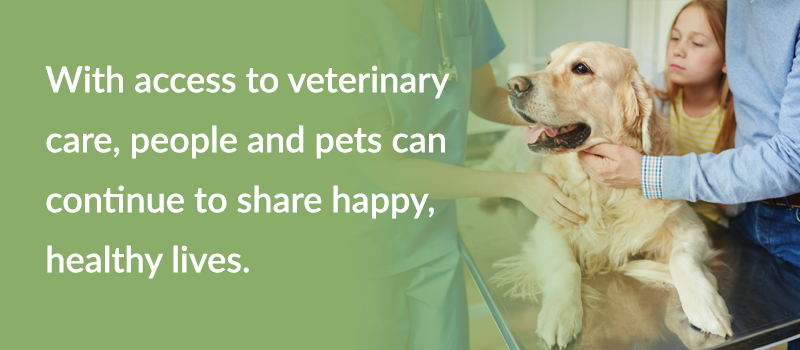 Helping People with Pets in Need in Your Community