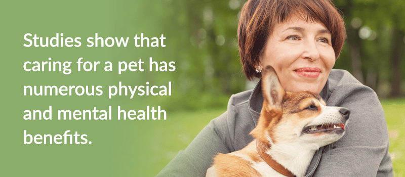 A Pet Parent's Guide to Caring for Your Dog or Cat