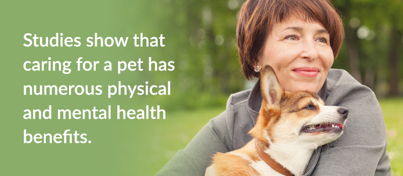 A Pet Parent's Guide to Caring for Your Dog or Cat