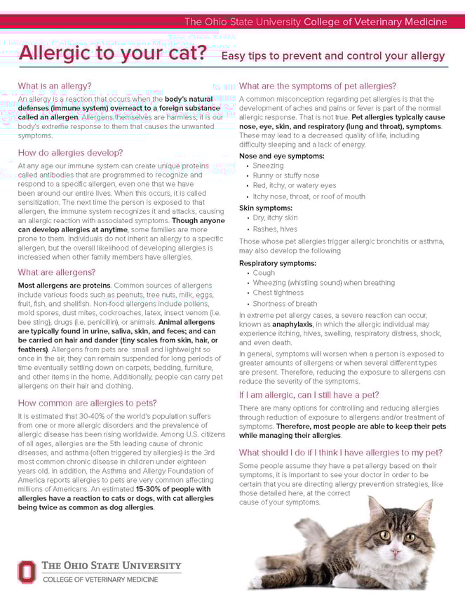 Allergic to Your Cat download