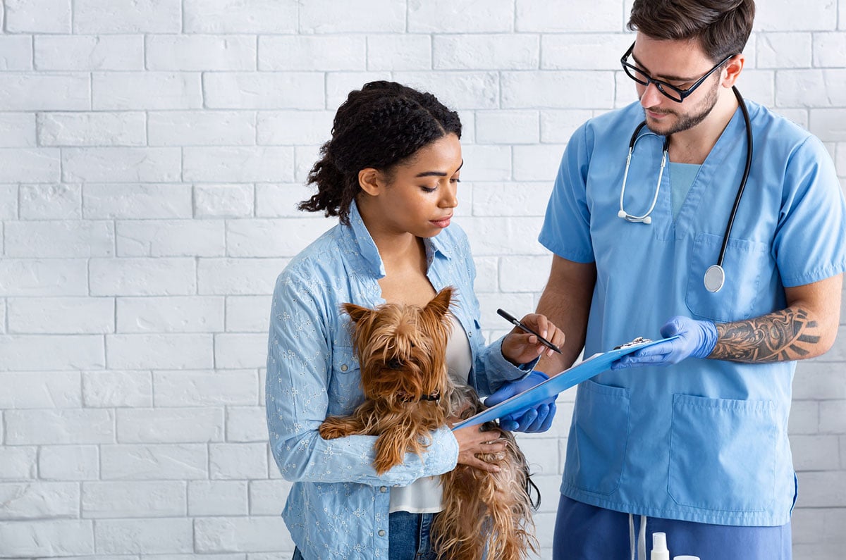 4 Important Ways to Save Ohio Pets