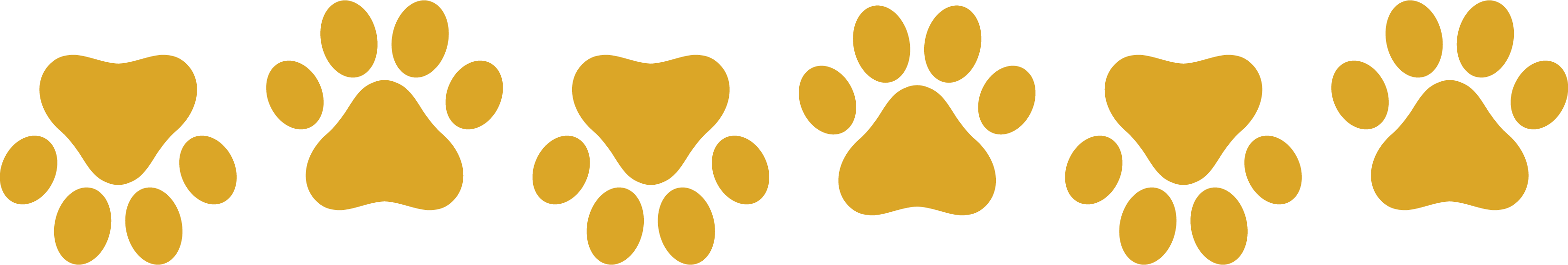 Paws for Effect | Monthly Giving Program