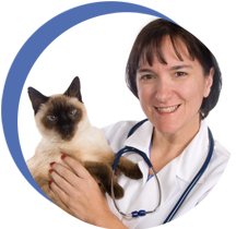 One Health Organization: Veterinary Care for People and Pets In Need