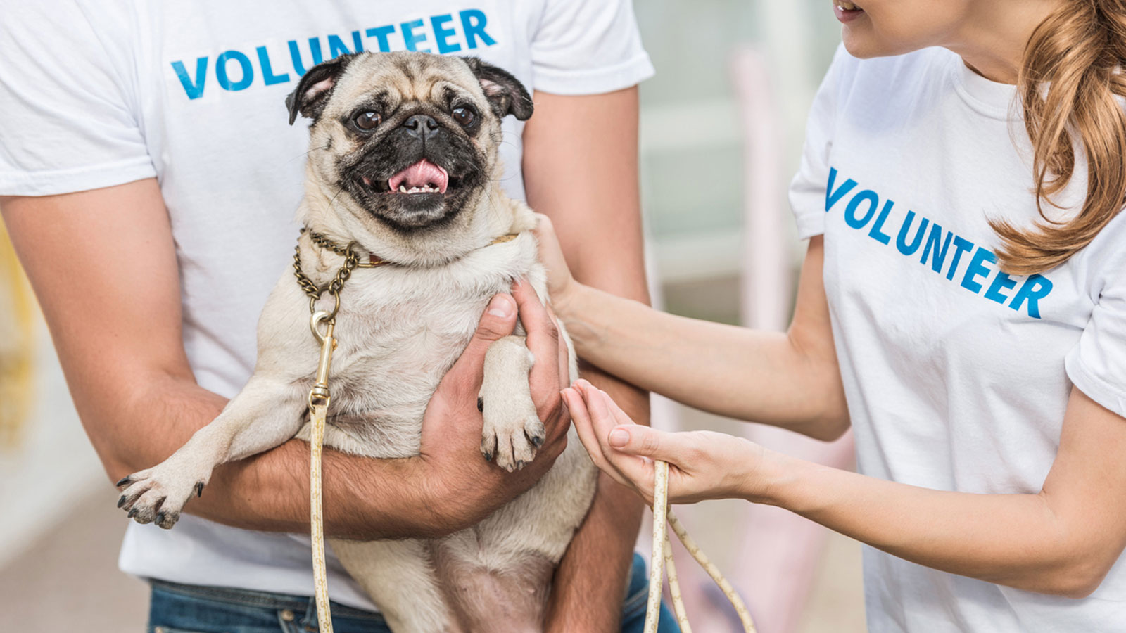 Pet Health Education Events
