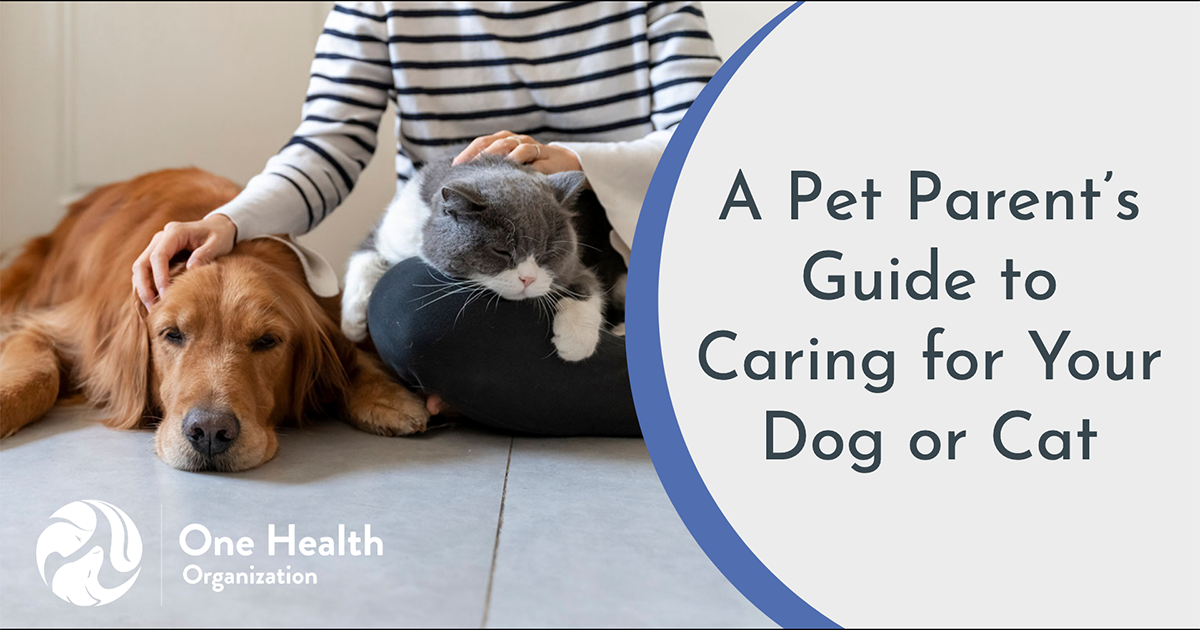 Pet Parent's Guide to Caring for Your Dog or Cat download