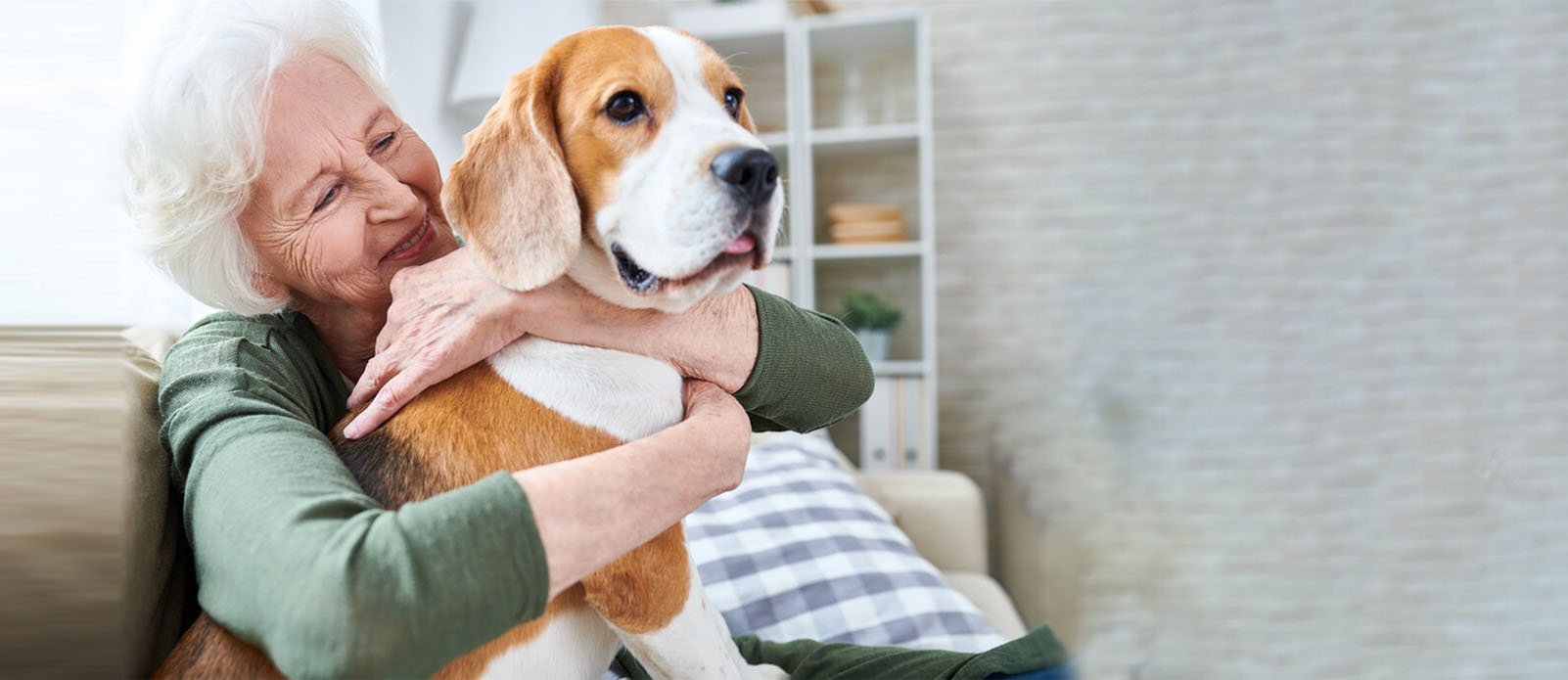 One Health Organization: Veterinary Care for People and Pets In Need